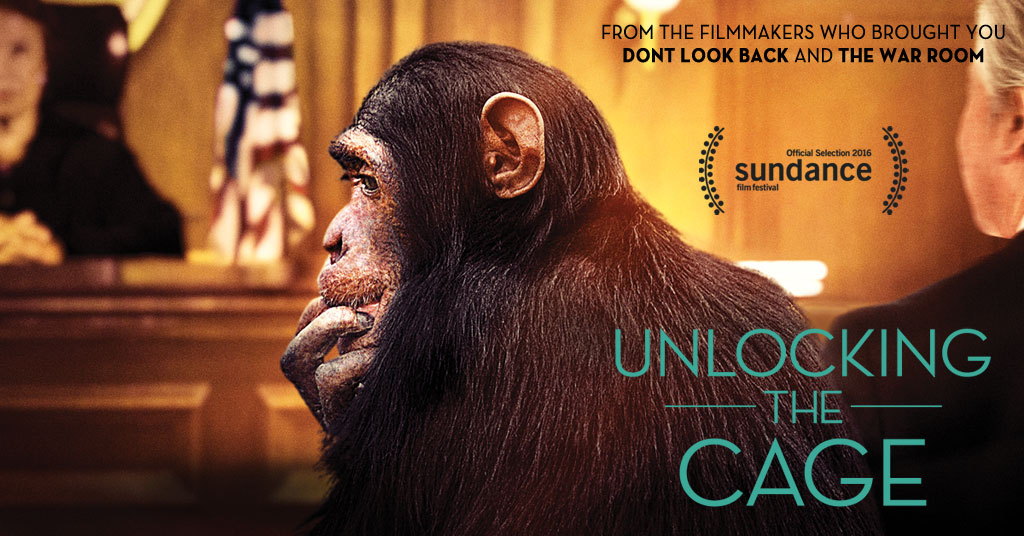 Unlocking the Cage