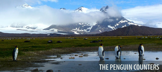 First Run Features: In Theaters